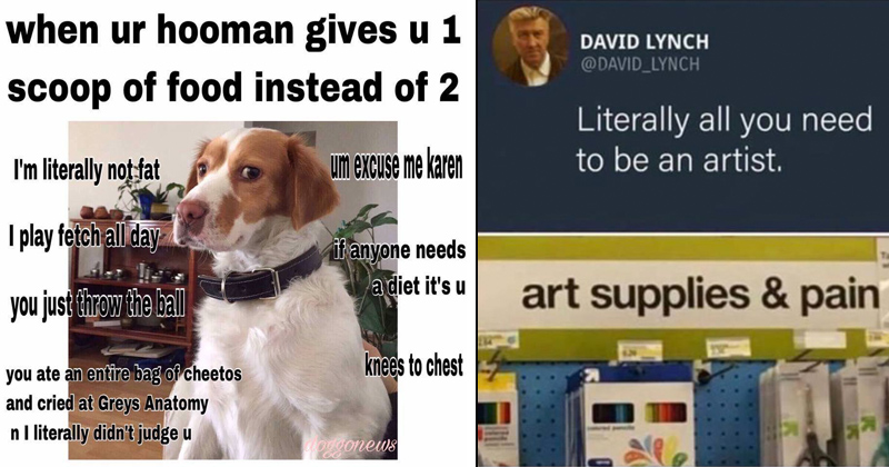 32 Random Memes To Rescue You From Your Crippling Boredom - Memebase ...