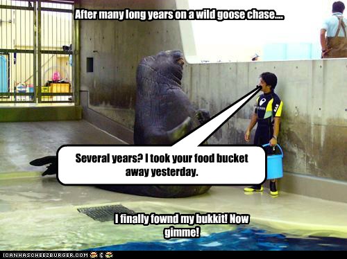 How Long Have You Kept This From Me? - Animal Comedy - Animal Comedy ...