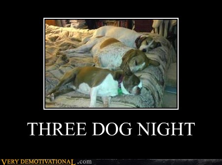 THREE DOG NIGHT - Very Demotivational - Demotivational Posters | Very ...