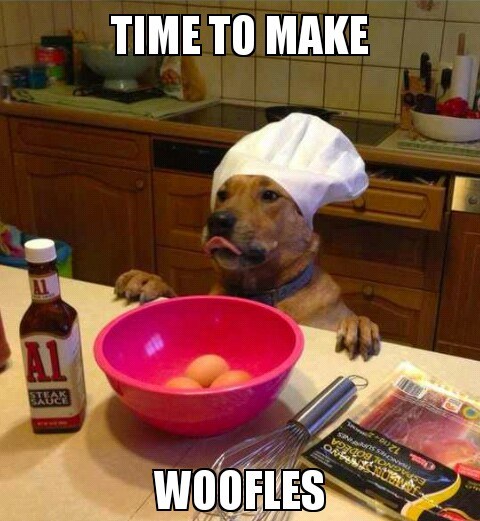 Chef Dog Makes Breakfast - I Can Has Cheezburger?