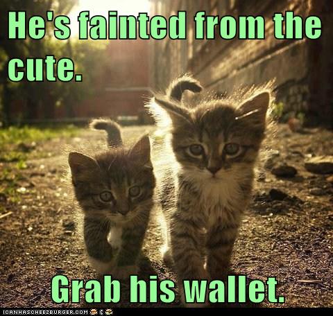 He's fainted from the cute. Grab his wallet. - Lolcats - lol | cat ...