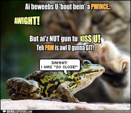 I Can Has Cheezburger? - the frog prince - Funny Animals Online ...
