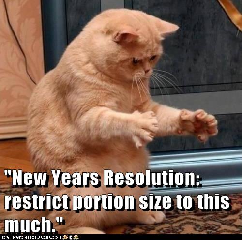 "New Years Resolution" - Lolcats - lol | cat memes | funny cats | funny ...