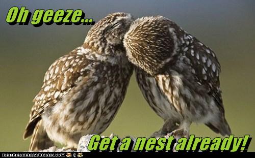 Oh Geeze... - Animal Comedy - Animal Comedy, funny animals, animal gifs