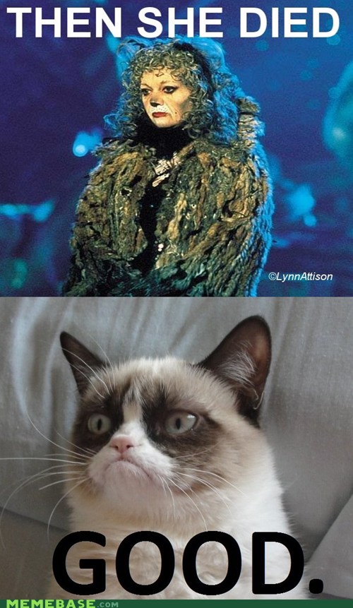 She's Not Even a Real Cat - Memebase - Funny Memes