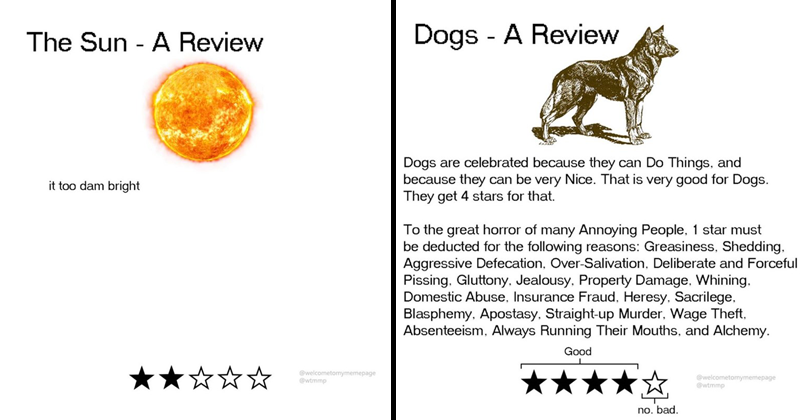 16 Quirky Meme Reviews That Are Weirdly On Point - Memebase - Funny Memes
