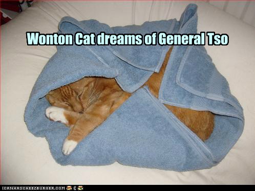 Lolcats - sleep - Page 7 - LOL at Funny Cat Memes - Funny cat pictures ...