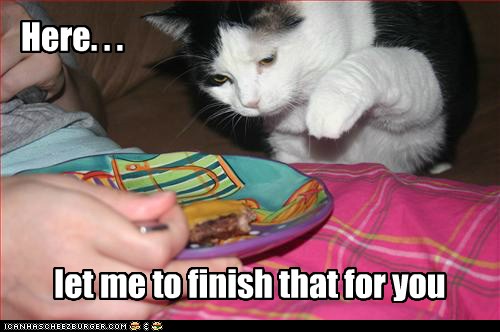 Mama Always Said You Should Clean Your Plate - Lolcats - lol | cat ...