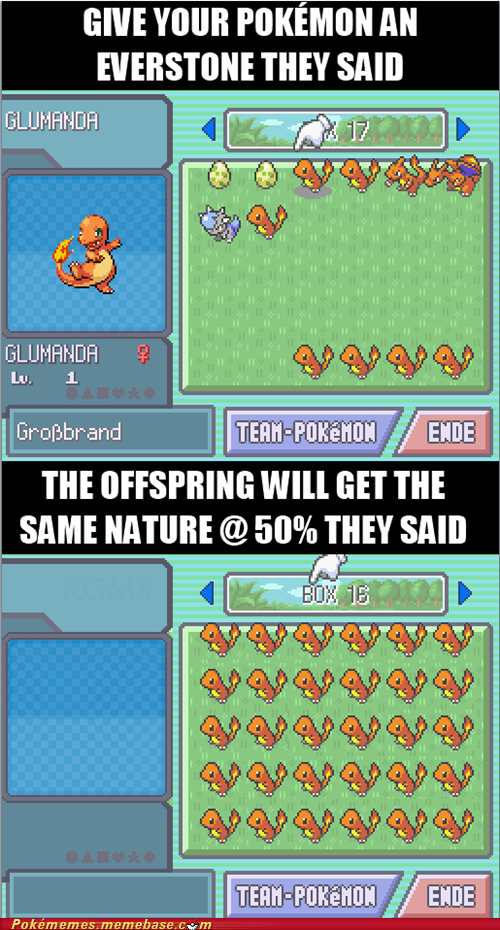 Pokémemes - everstone - Pokemon Memes - Pokémon, Pokémon GO - Cheezburger