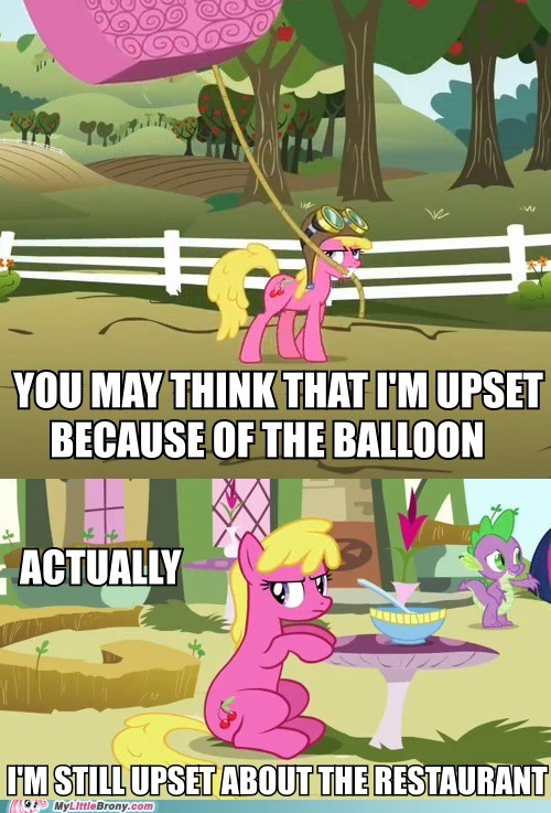 Grumpy Pony - My Little Brony - my little pony, friendship is magic ...