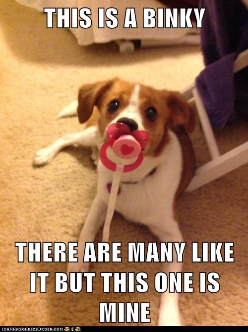 GET YOUR OWN - I Has A Hotdog - Dog Pictures - Funny pictures of dogs ...