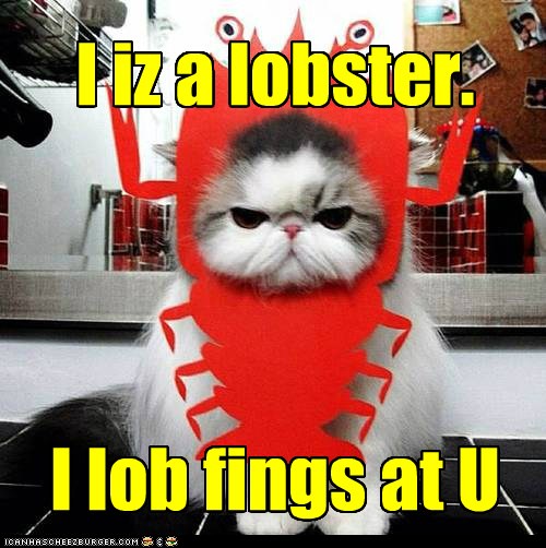 Lolcats - lobster - LOL at Funny Cat Memes - Funny cat pictures with ...