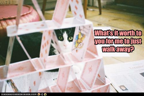 Let's Make a Deal - Lolcats - lol | cat memes | funny cats | funny cat ...