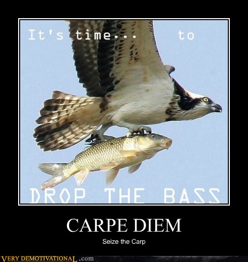 CARPE DIEM - Very Demotivational - Demotivational Posters | Very ...