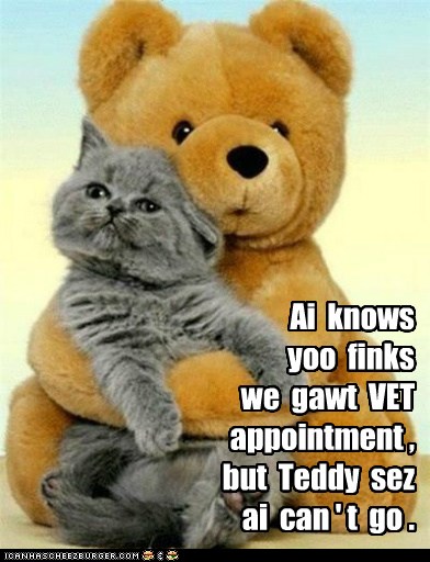 An bears ar berry FEERCE, yoo knows. - Lolcats - lol | cat memes ...