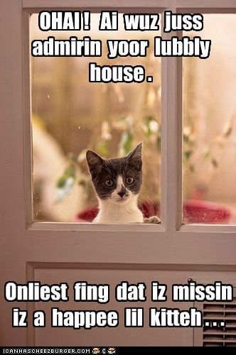 Your Home is Almost Complete! - Lolcats - lol | cat memes | funny cats ...