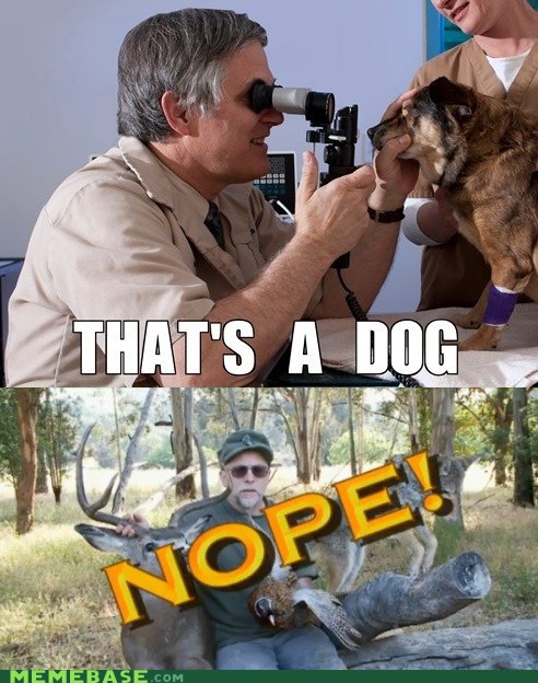 Re-Framed: It's Chuck Testa! - Memebase - Funny Memes