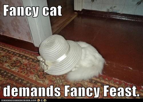 Demand the Best... Always! - Lolcats - lol | cat memes | funny cats ...