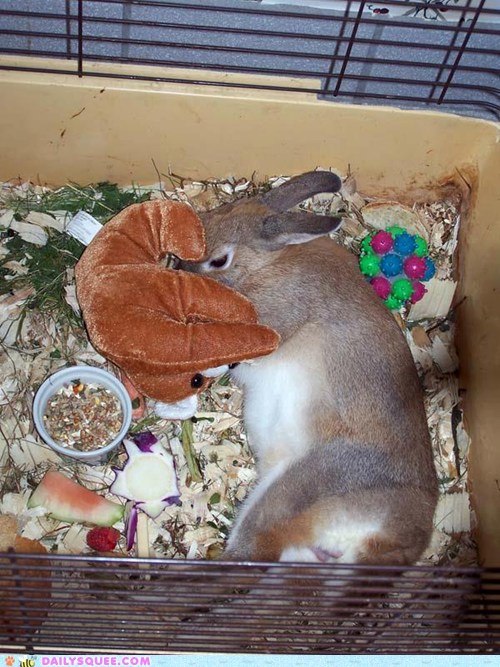 Reader Squee: Teddy Bear - Daily Squee - Cute Animals - Cute Baby ...