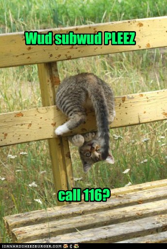 Upsied Down Emergency Alurt! - Lolcats - lol | cat memes | funny cats ...