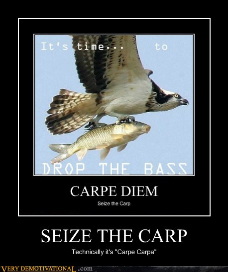 SEIZE THE CARP - Very Demotivational - Demotivational Posters | Very ...