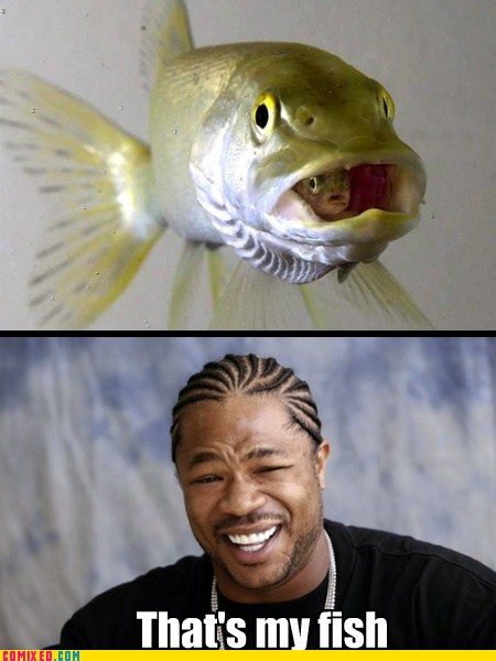 Xzibit Meme Inception