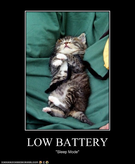 LOW BATTERY - Lolcats - lol | cat memes | funny cats | funny cat ...