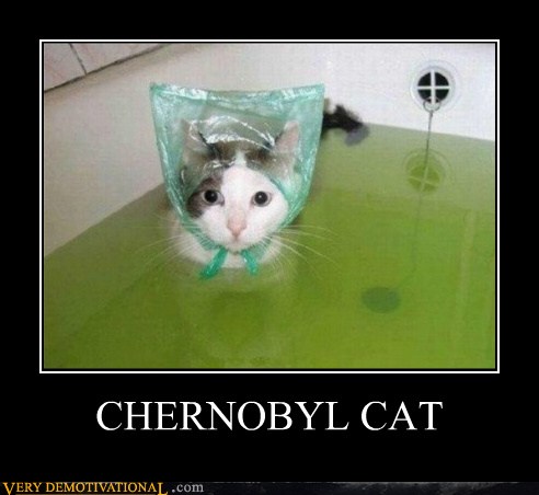 CHERNOBYL CAT - Very Demotivational - Demotivational Posters | Very ...