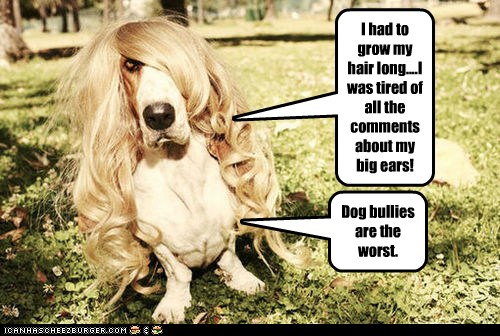 I Has A Hotdog - big ears - Funny Dog Pictures | Dog Memes | Puppy ...