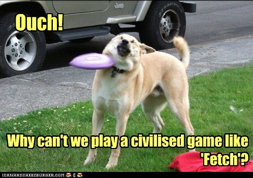 I Has A Hotdog - frisbees - Funny Dog Pictures | Dog Memes | Puppy ...