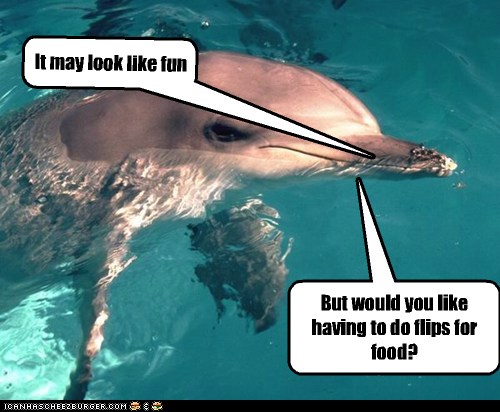 Sounds Better Than What Most of Us Do All Day - Animal Comedy - Animal ...