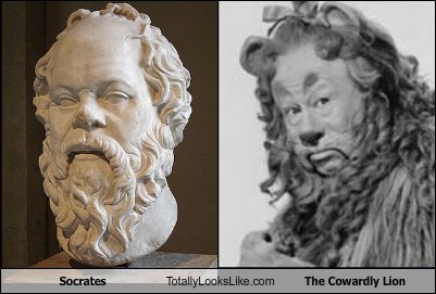 Socrates Totally Looks Like The Cowardly Lion - Totally Looks Like