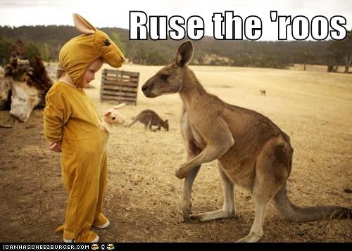 The Most Popular Children's Game in Australia - Animal Comedy - Animal ...