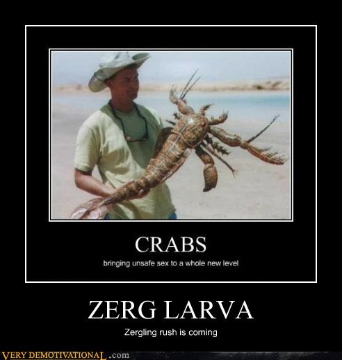 ZERG LARVA - Very Demotivational - Demotivational Posters | Very ...