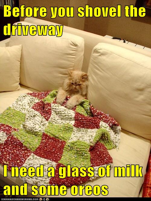 I'll Call You if I Need Anything Else - Lolcats - lol | cat memes ...