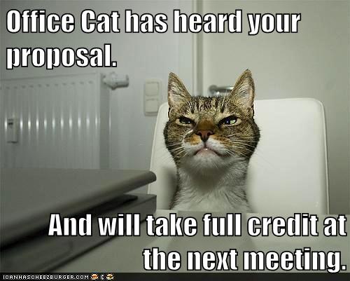 Your Idea... is Now MY Idea! - Lolcats - lol | cat memes | funny cats ...
