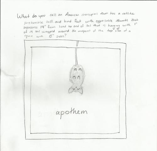 Puns - geometry - Funny Puns - Pun Pictures - Cheezburger