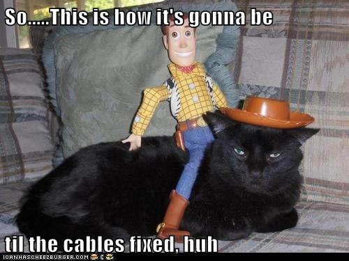 Can We PLEASE Get That Cable Guy Here ASAP?! - Lolcats - lol | cat ...
