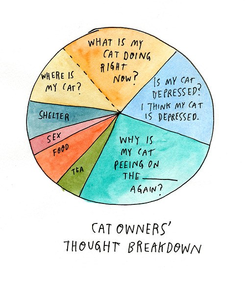 A Chart Depicting the Breakdown of a Cat Owner's Thought Process - I ...