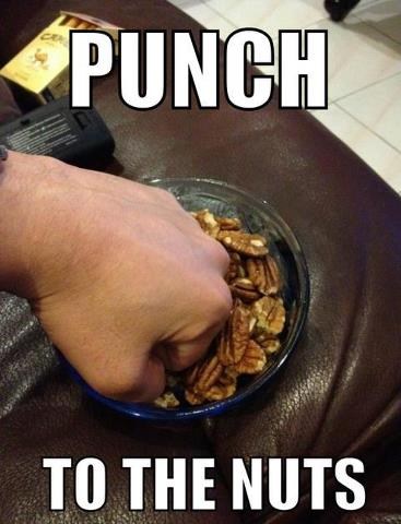 Puns - nuts - Funny Puns - Pun Pictures - Cheezburger