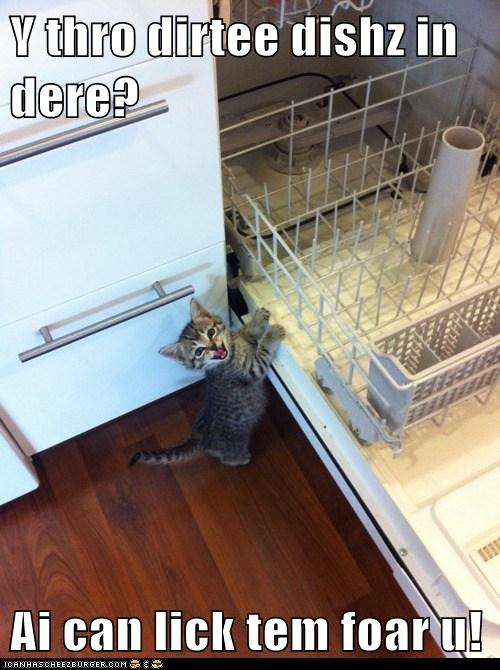 Don't U Wantz My Halp? - Lolcats - lol | cat memes | funny cats | funny ...