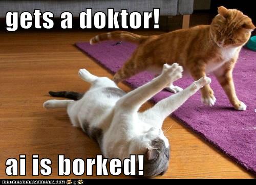 Nawt Sposed to Bend Like Dis! - Lolcats - lol | cat memes | funny cats ...