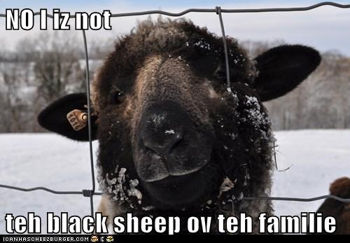 Why Would You Think That? Racist - Animal Comedy - Animal Comedy, funny ...