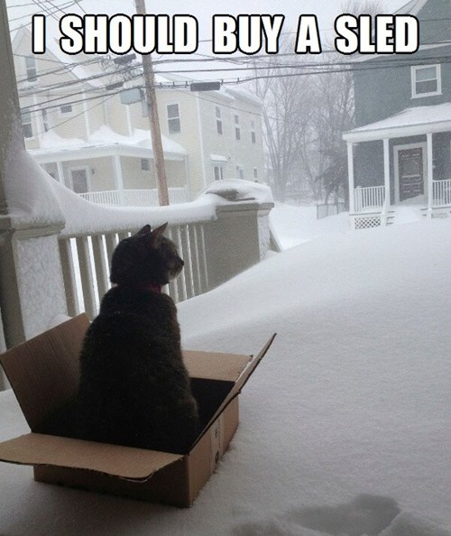 Memebase - sled - All Your Memes In Our Base - Funny Memes - Cheezburger