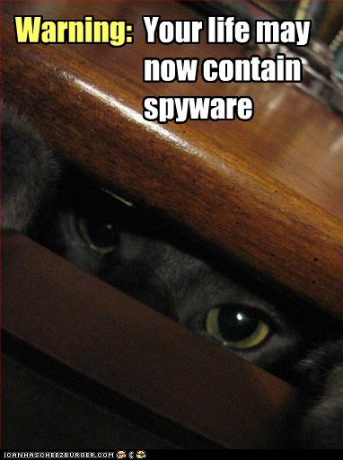 Proceed With Caution - Lolcats - lol | cat memes | funny cats | funny ...