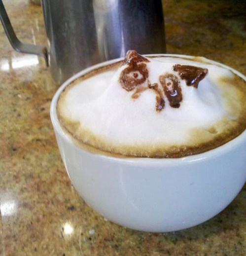 Grumpy Latte - Picture Is Unrelated - Funny Picture | Funny Video | WTF ...