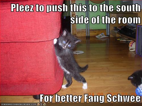 Lolcats - feng shui - LOL at Funny Cat Memes - Funny cat pictures with ...