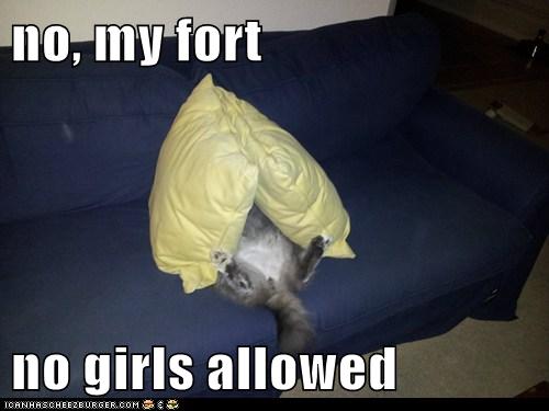 You Don't Even Know the Password - Lolcats - lol | cat memes | funny ...