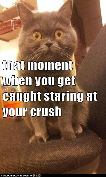 So Awkward - Lolcats - lol | cat memes | funny cats | funny cat ...