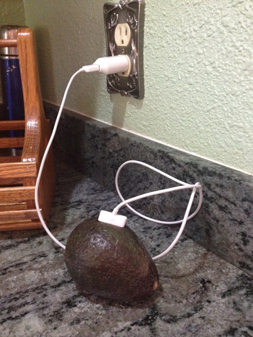 Does Your Avocado Have a Good Data Plan? - Autocowrecks - Funny ...